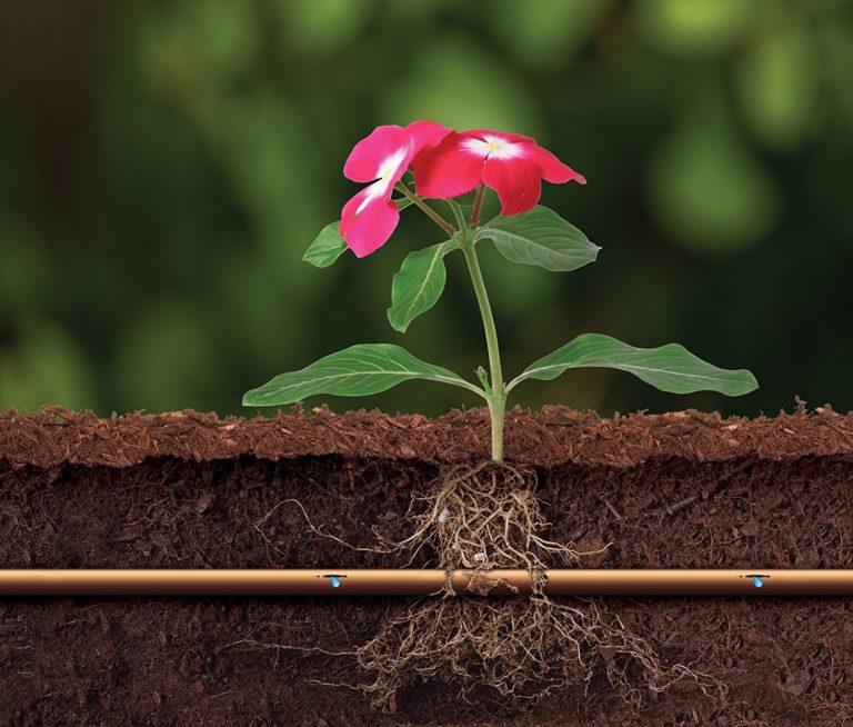 Sub-Surface Drip Irrigation - GebCo